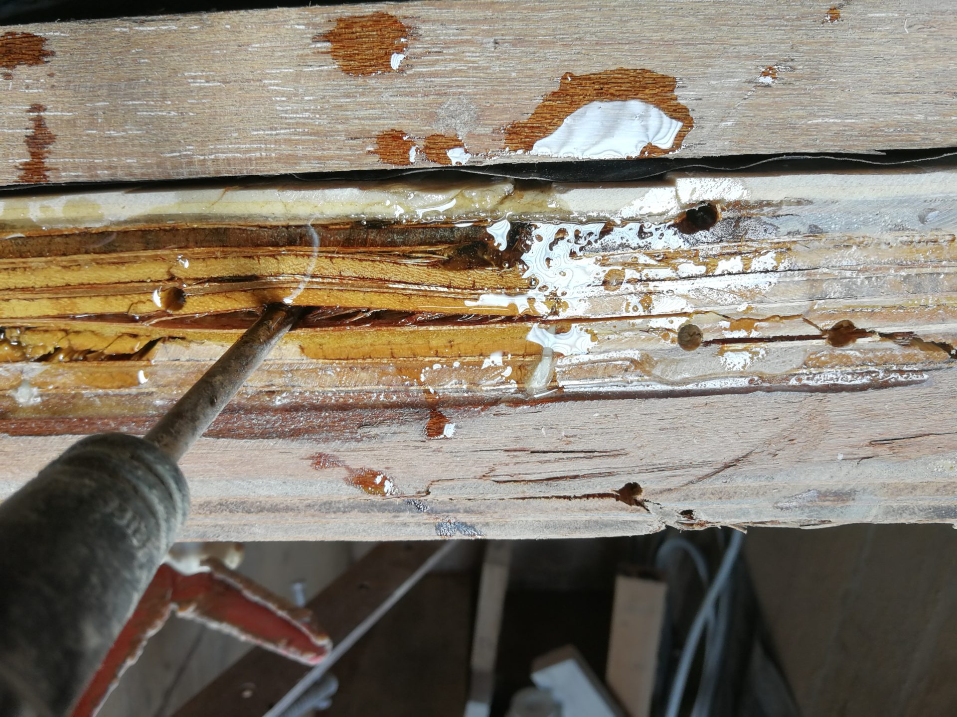 Repairing the disaster | Epoxy Ltd